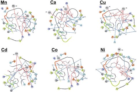 Ligand Interaction Diagrams Lids For Enzyme Substrate Complexes With