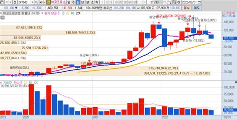 247540에코프로비엠 주가 전망 에코프로비엠 주가 하락 이유는