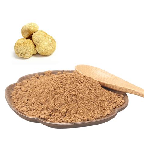 Molai Lions Mane 25kg Bag Drum Plant Extract Mushroom Fruiting Body Powder Mushroom Extract