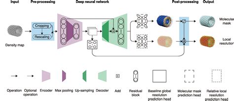 生命学院张强锋课题组开发冷冻电镜密度图分辨率估计的人工智能算法 清华大学生命科学学院