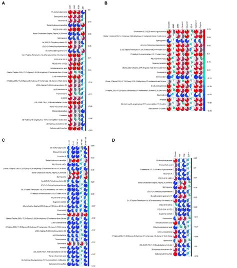 Correlation Analysis Of The Ileal Metabolome With Growth Status