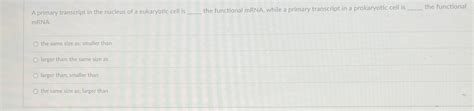 Solved A Primary Transcript In The Nucleus Of A Eukaryotic