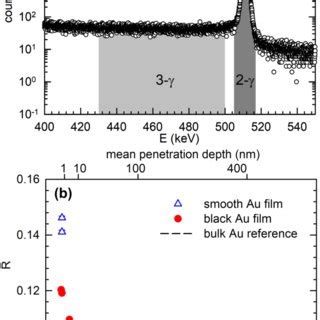 A The Regions Used For Calculation Of The R Parameter From Single Download Scientific Diagram