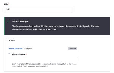 Add Disable Image Resize Setting To Image Fields Drupal Org