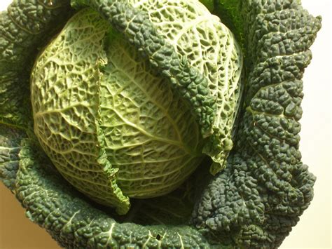 Savooiekool Of Groene Kool