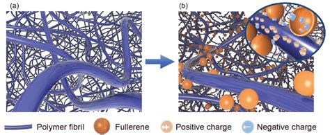 A Schematic Diagram Of The Fibril Network Structure Formed By A Pure Download Scientific
