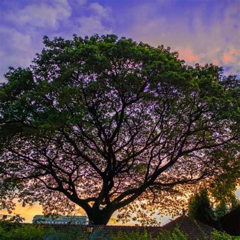 Jeanne Nangle Ma Od On Linkedin 7 Amazing Ways To Define Soulful And