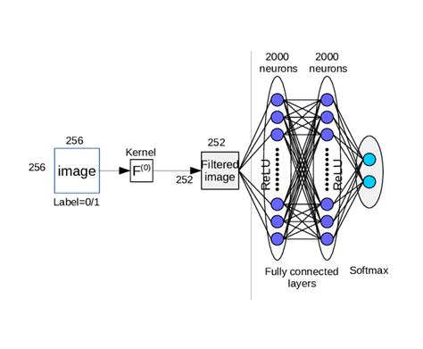 A Fully Connected Neural Network FNN Download Scientific Diagram