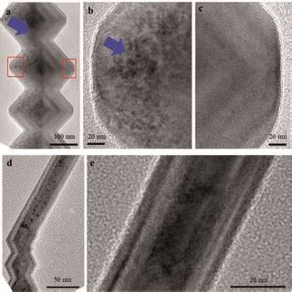 Morphology Of TiO Nanowires With AuAg Bimetallic Seeds A Scanning Download Scientific