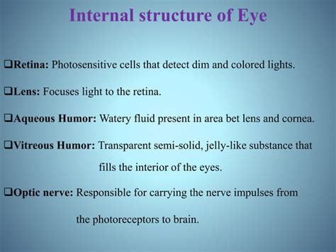 Uveitis Ppt Pptx Eye And Vision Conditions Diseases And Conditions