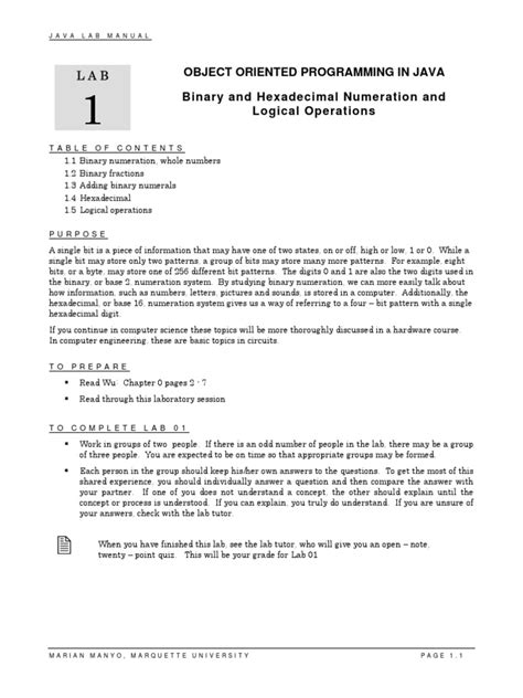 Object Oriented Programming In Java Binary And Hexadecimal Numeration