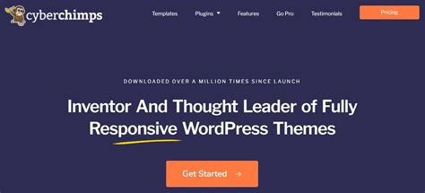 cyberchimps responsive theme review an ideal beginner theme