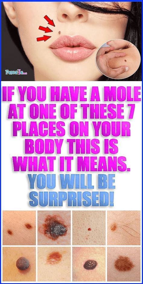 Many Thanks For… Capital Facts What Does A Mole Look Like What