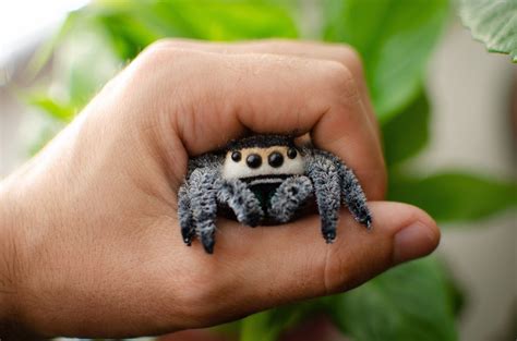 Cute Jumping Spider Toy Creepy T Poseable Sculpture Needle Felted
