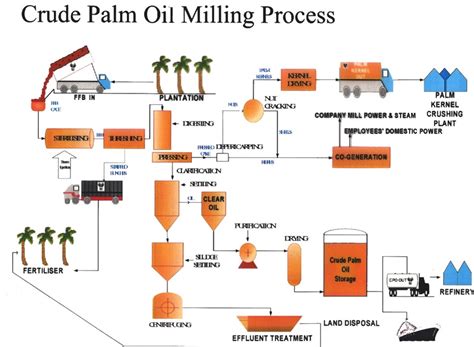 Palm Oil Production Process Flow Chart My XXX Hot Girl