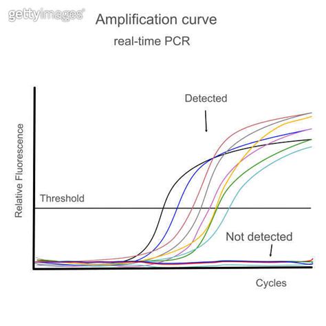 The Amplification Curve Of Real Time Pcr Or Qualitative Pcr 이미지 1405423568 게티이미지뱅크