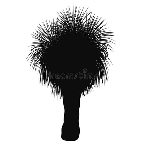 Xanthorrhoea Tree Vector Outline Silhouette Isolated Illustration The