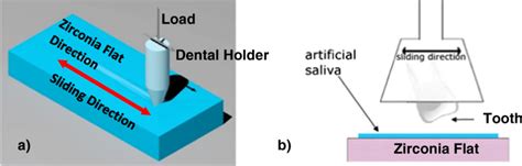 A Schematic Representation Of The Assembly Of The Tribological Pairs In