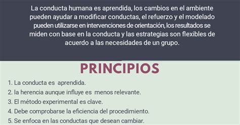 Conceptos Basicos De Conductismo Chefli
