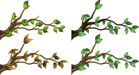 Tree Branch Pattern Vector Art Icons And Graphics For Free Download