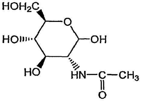 Acetylglucosamine