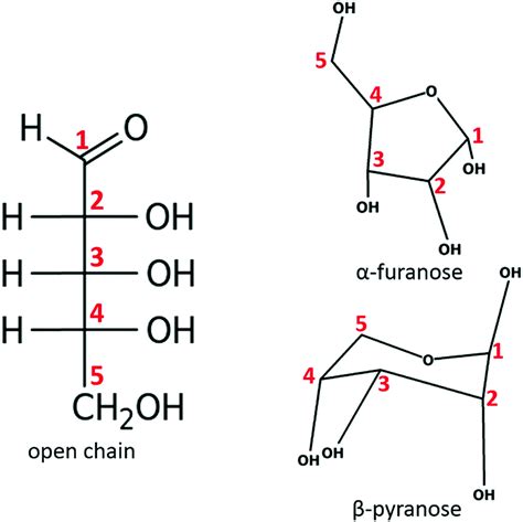 Ribose Ring Structure Dnahtml