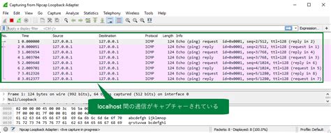 Check If Npcap Is Install Wireshark Lmpag
