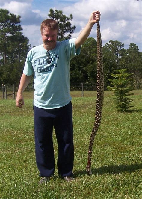Man Kills Snake