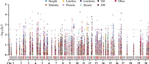 The Manhattan Plot Of Association Mapping Between 9 Traits Of Soybean Download Scientific