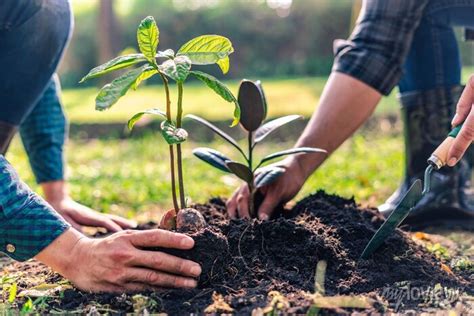 Dhamam Foundation Realestate