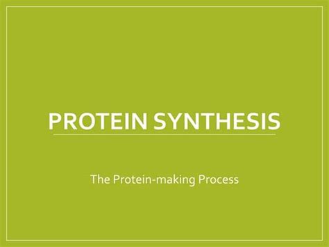 Protein Synthesispptx