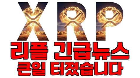 리플 진짜큰일났어요리플 리플코인 리플전망 Xrp Youtube