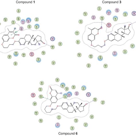2d Interaction Diagrams Of Compounds 1 Δg −11 3929 Kcal Mol 3 Δg