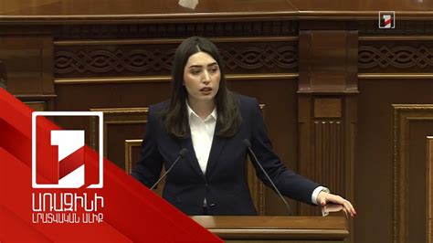 Առաջին անգամ ՀՀ ում կներդրվի ուժային միջոցների գործադրման ստանդարտ ՆԳ նախարար Youtube