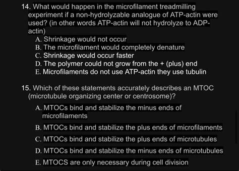 14 What Would Happen In The Microfilament