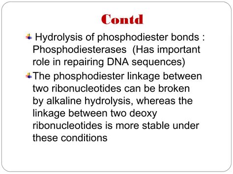 dna structure organization and function ppt chemistry science