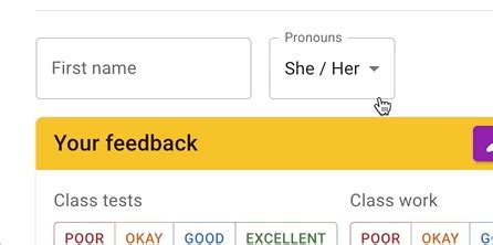 AI Babe Report Writer For Teachers