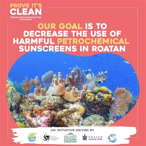 Why Using Reef Safe Sunscreen In Roatan Is A Must