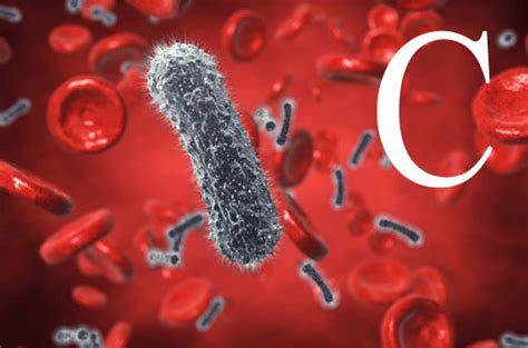 Transcaucasian Doctors League ამიერკავკასიის ექიმთა ლიგა ჯანსაღი