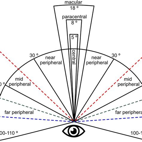 The Scope Of Human Vision⁴⁸ The Dashed Lines Represent The Angular