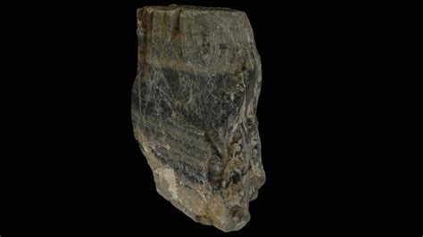 Bituminous Limestone Italy Download Free 3d Model By Sara Carena