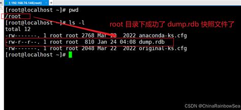 九 redis 持久化 rdb 详细讲解说明，一个配置一个说明分析，步步讲解到位 redis rdb csdn博客
