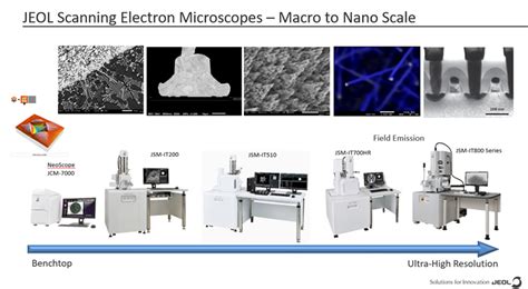 What Is Scanning Electron Microscopy
