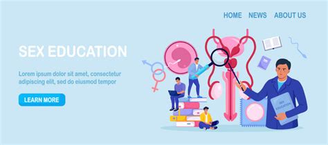 Sex Determination In Humans Royalty Free Vector Image