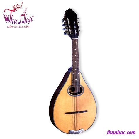 Khóa Học đàn Mandolin Tại Gia ở Tphcm Uy Tín Thu NhẠc