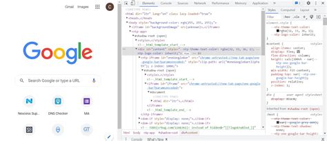 how to open browser console for inspection nexcess