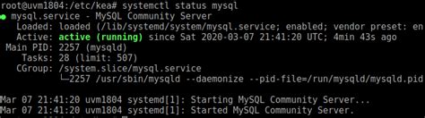 Kea Dhcp Server 16 On Ubuntu 1804 With Cisco Ios Question Computer