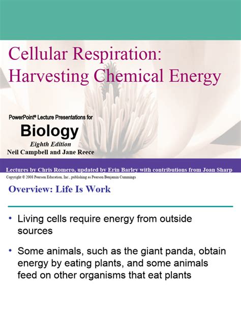 Module 9 Cellular Respiration Pdf Cellular Respiration Adenosine Triphosphate