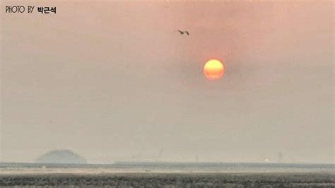 여행 사진 자작글 아날로그 방식으로 자급자족하면서 사는 것도 괜찮은 거 같아요 나만의 비밀 낙원이 있는 두메산골에서 내가 쉴 곳 작 ♤꿈이있는 정원♤ 예쁜정원