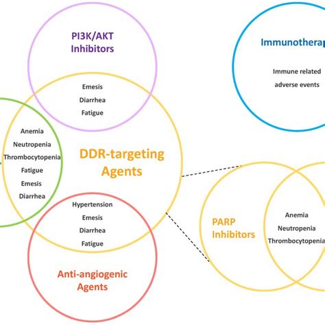 Potential Overlapping Toxicities Of Ddr Targeting Agent Combinations
